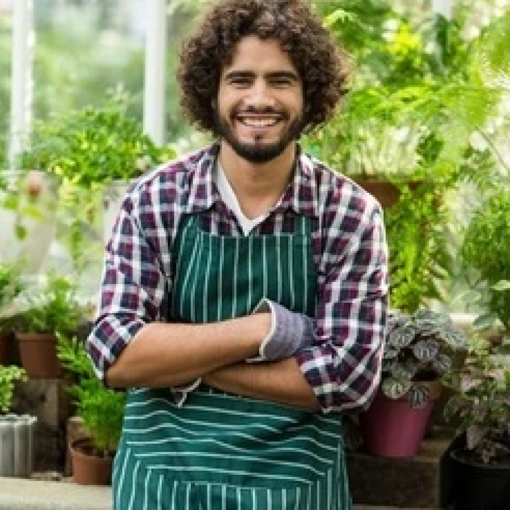 Lipstick Plant: Guide to Growing and Caring {8 EASY STEPS}