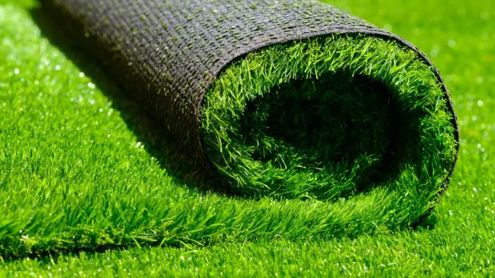 How to Choose the Best Grass for Dogs & Yards [8 Best Grass]